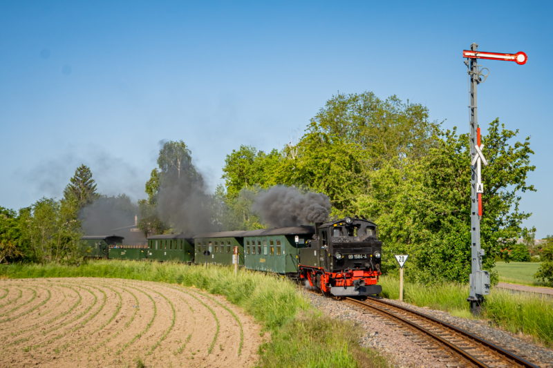 Herbstfahrten mit Volldampf - Wilder Robert